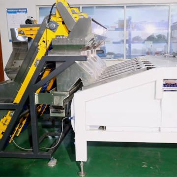 Quality High Speed Dates Sorting Machine Optical 6.3KW 380V 6 Lanes for sale