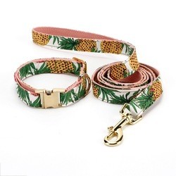 Quality Durable Reflective Harness Leash Set Comfortable Dog Collar Leash for sale