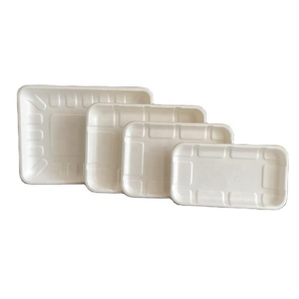 Quality Fruit Sugarcane Bagasse Pulp Weddings Vegetable Disposable Meat Microwave Safe for sale
