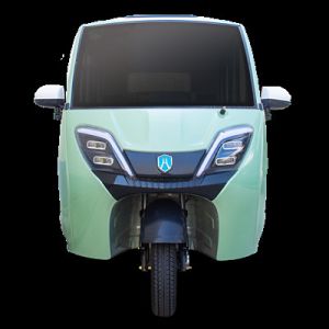 Quality 1500W Electric Passenger Trike Street Legal Enclosed Trike Foam Cotton Seat for sale