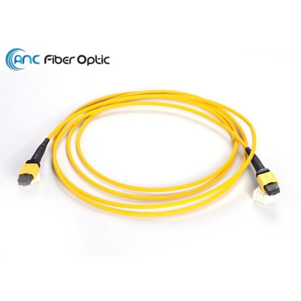 Quality MTP To MTP Elite Fiber Optic Trunk Cable LSZH SM 24 Fiber 3.0mm Mini Jacket for sale