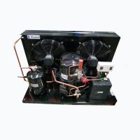 Quality Made in China 1.5HP to 3HP Tecumseh compressor condensing unit cold room for sale