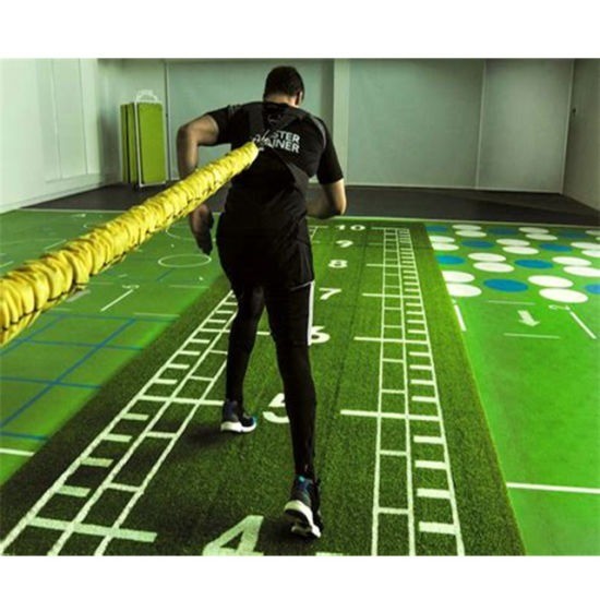 Quality High Density 63000 Stitches/m2 Customized Gym Grass for Sports Floor and Sled Training for sale