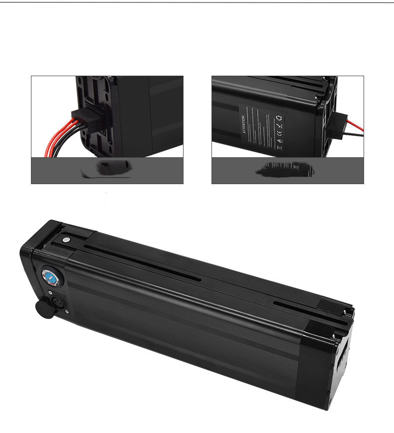 Customized Electric Bike 48volt 20ah Silver Fish E-Bike Lithium Battery for Aldi Prophete Mifa, Samsung, Zhenlong Zl0710, Phylion Xh259-10j, Xh259-13j Battery