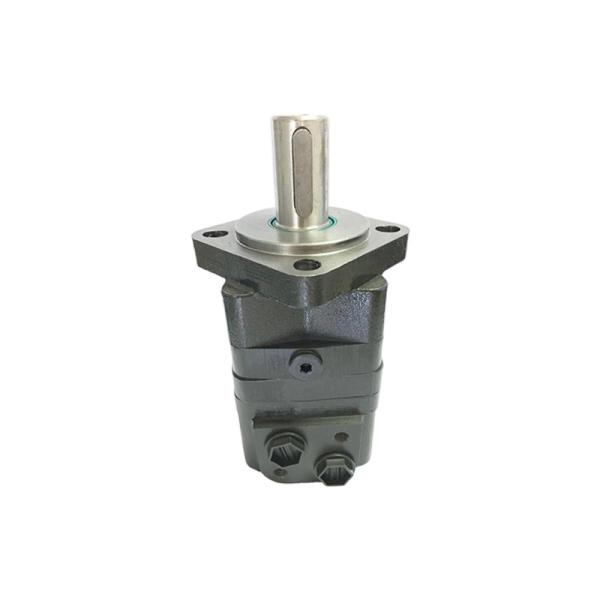 Quality BM5 Series Hydraulic Orbit Motor Replacement Cycloid Hydraulic Motor OMS Series for sale