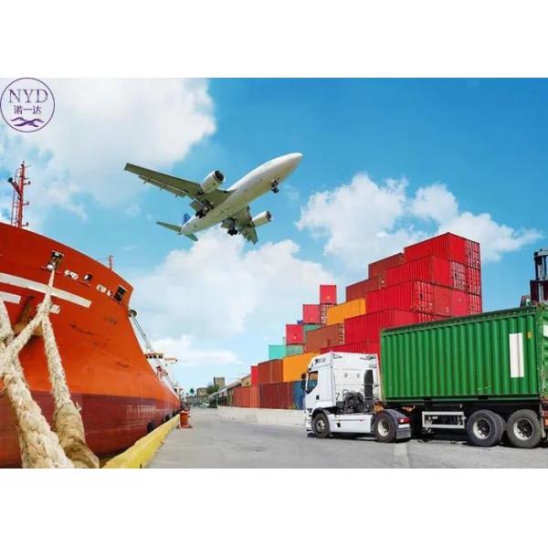 Quality DG International Logistics Freight LCL FCL China Shipping Forwarder for sale