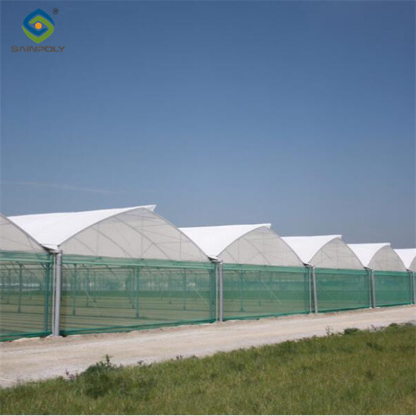 Quality Intelligent Smart Agricultural Gothic Greenhouse Customization Size for sale