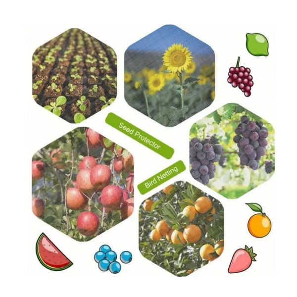 Quality HDPE UV Plastic Mesh Insect-Resistant Greenhouse Anti-Insect Net for Vegetable Garden Agricultural for sale