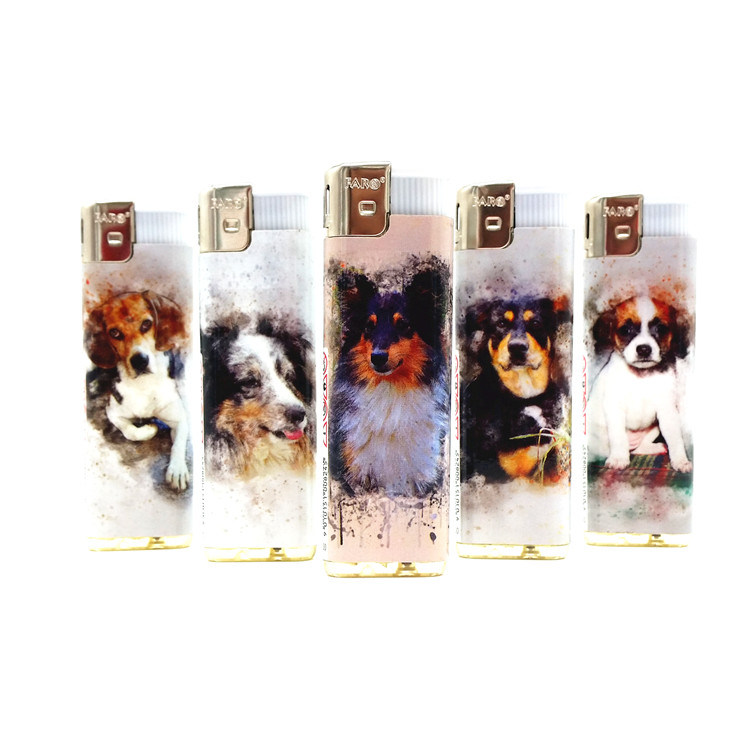 China Wholesale Custom Cigarette Butane Gas Plastic Electric Disposable Lighter