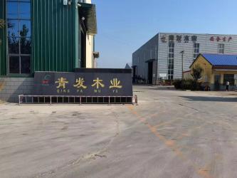 China Factory - Heze Qingfa Enterprises Co., Ltd.