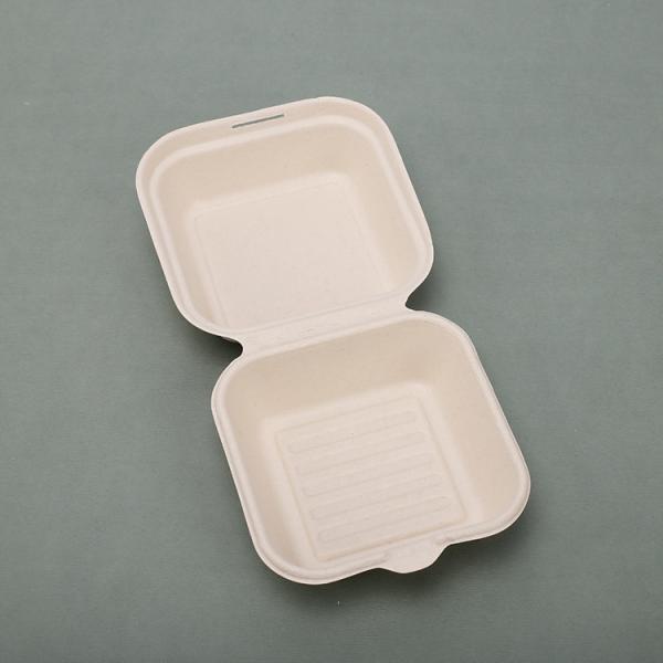 Quality Virgin 21g Disposable Hamburger Clamshell Box Sugarcane Bagasse Takeaway Boxes for sale