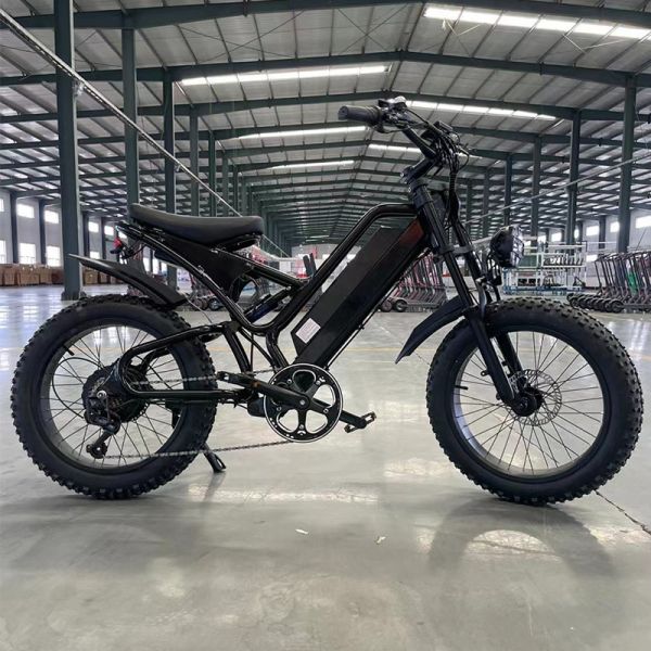 Quality 2024 Electric Bicycle with Aluminum Alloy Frame and Long-Lasting Lithium Battery for sale