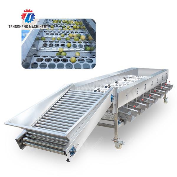 Quality Processing Production Inspecting Grading Fruit Vegetable Onions Saiko persimmon for sale