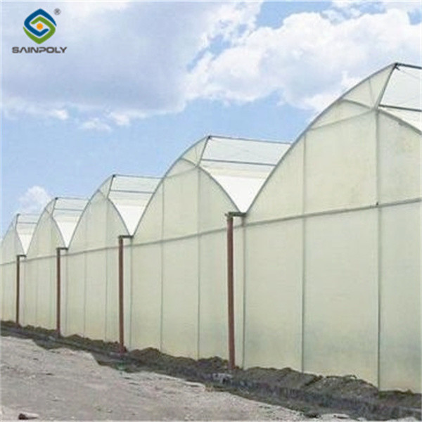 Quality 4m Height Steel Structure Greenhouse Gothic Type Easy Installation for sale