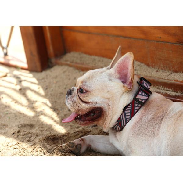 Quality Personalized Reflective Martingale Dog Collars And Matching Leashes Combo for sale