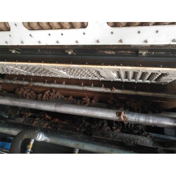 Quality Automatic Paper Tray Production Line For Disposable Pulp Egg Cartons Making for sale