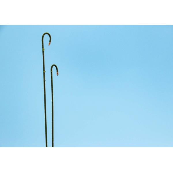 Quality Medical MRI CT Stainless Steel Tipped PTFE Coated Guide Wires for sale