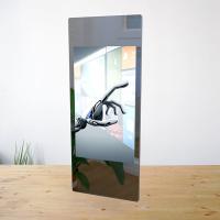 Quality RJ45 USB 700cd/M2 Smart GYM Mirror Anti Fingerprint Custom Multi Touch Screen 43 for sale