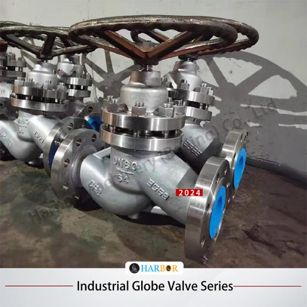 Quality Flanged Connection Plunger Globe Valve for Steam DN15-DN250 Cast Steel US41M-16C for sale
