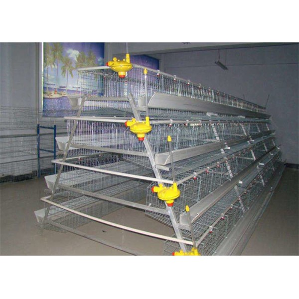 Quality A Type RTL Chicken Cage / 3 Tier 5 Doors Galvanized Layer Poultry Cage For for sale