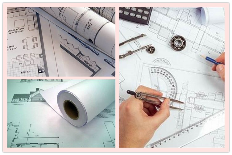 36"X 50 Yard 80gsm Plan Plotter Paper Roll With High Whiteness