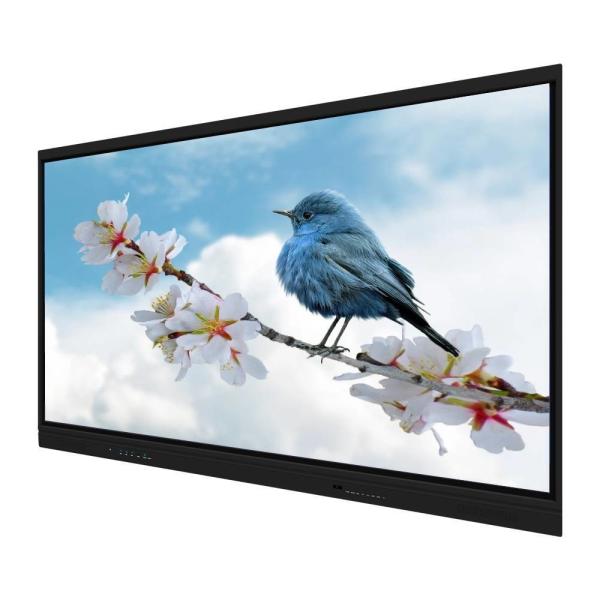 Quality 55 65 75 86 98 Inch Support Dual System Interactive Flat Panel Interactive Whiteboard Smart Board for sale