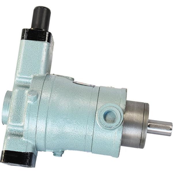 Quality Cast Iron Hydraulic Piston Pump YCY14-1B Axial Piston Pump for sale