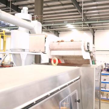 Quality CE Certified Dry Cracking Pecan Shelling Machine 100000 Nuts Capacity 220V for sale