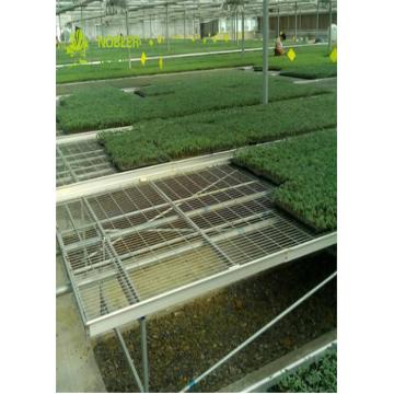 Quality Large Wire Greenhouse Grow Beds And Tables / Garden Center Tables for sale