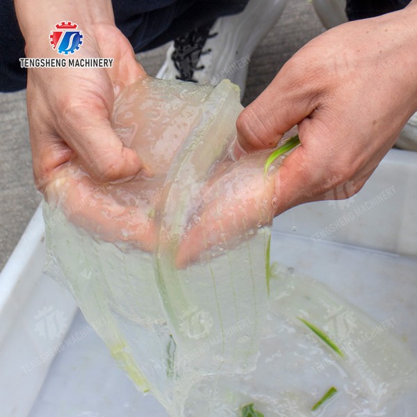 Quality Aloe peeling machine processing production Peeling Machine for sale