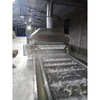 Quality Iqf Nitrogen Freeze Meat Tunnel Ultra Freezer Air Blast Nitrogen Quick Freezer for sale