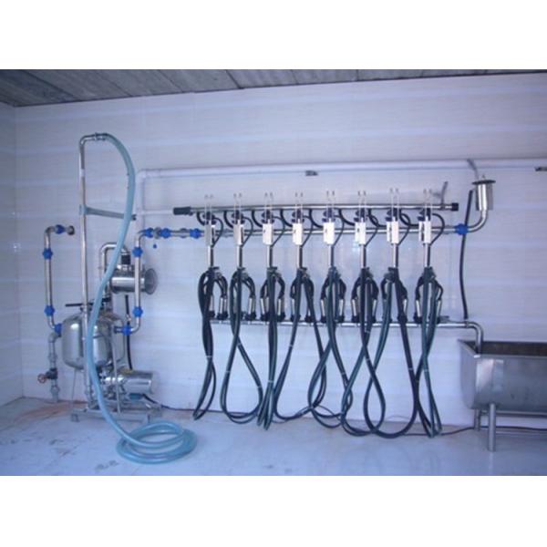 Quality Fish bone Pipeline Herringbone Milking System 4KW 380V / 50Hz for sale