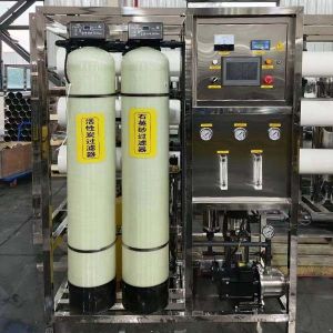Quality 0.5 Tons Reverse Osmosis Water Treatment Equipm Double Stage Reverse Osmosis for sale