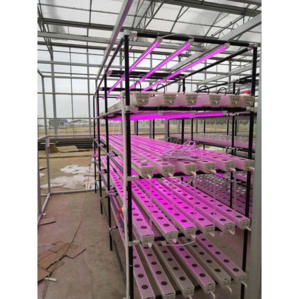 Quality Greenhouse Agriculture Iot Vertical Factory For Modern Agriculture for sale
