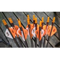 Quality Customized Logo Printed Carbon Arrow, Arrows with Logo Printed,hunting and for sale