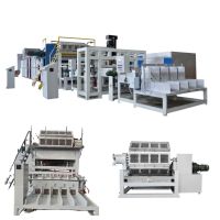 Quality Automatic Paper Egg Tray Machine Egg Carton Production Line Pulp Moulding for sale