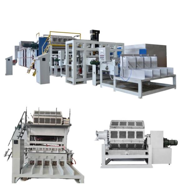 Quality 70-150kw Rotary Egg Tray Machine Large Capacity Customizable for sale