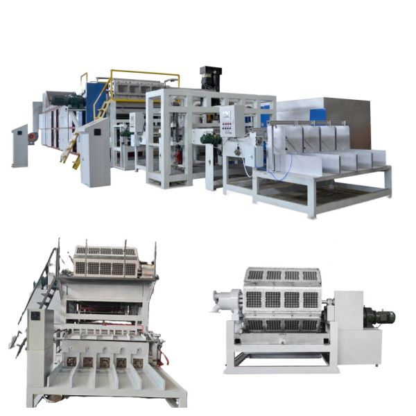 Quality Automatic Paper Egg Tray Machine Egg Carton Production Line Pulp Moulding Machine Price PLC Controlled for sale