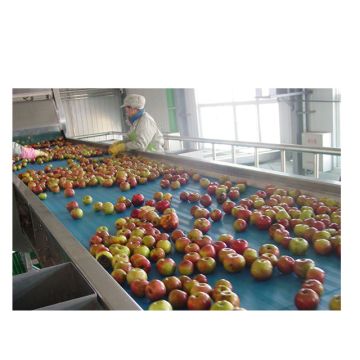 Quality Fruit Juice Filling Production Line Processed fruit mango pulp juice extraction for sale