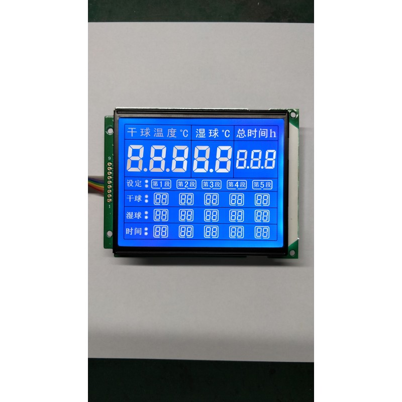 1.9 Inch STN Blue LCD Display close-up