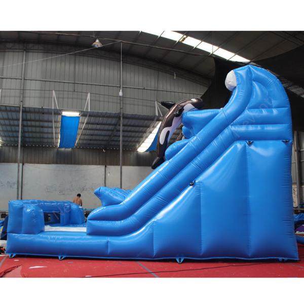 Quality Unisex Inflatable Dry Slide Customized Size Inflatable Castle Slides for Water for sale