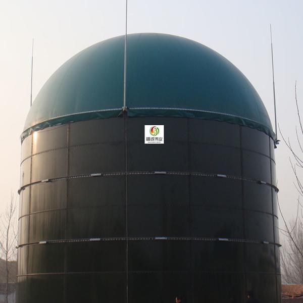 Quality Anaerobic Double Membrane Gas Holder PVC PDFE Biogas Gas Holder for sale