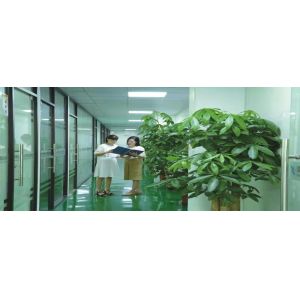 China Factory - Shenzhen Xinyinglong Electronic Technology Co., Ltd.
