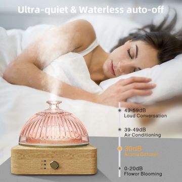 Quality Solid Wood Glass Aroma Diffuser▕ DN-839 for sale