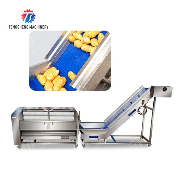 Quality Brush washing and hoisting production line Ginger Potato Carrot Taro Sweet for sale