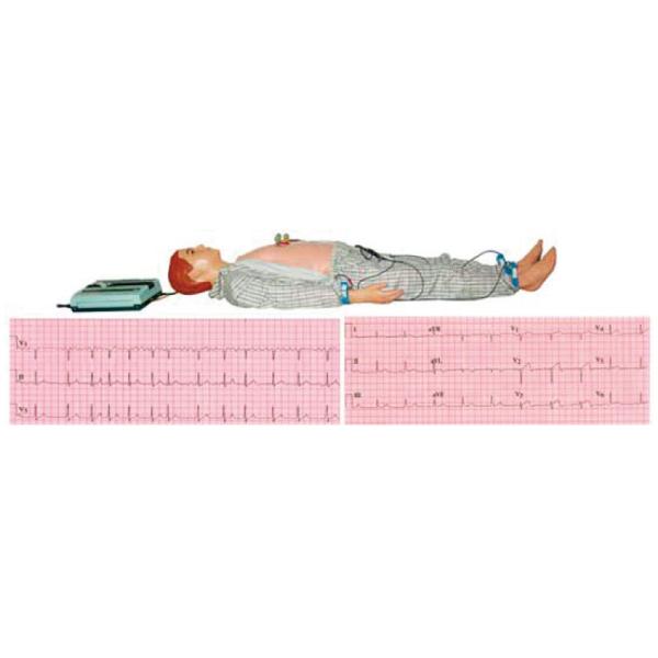 Quality High Tech Elastic PVC Electrocardiogram Auscultation Simulator for Hospitals Learning ECG for sale