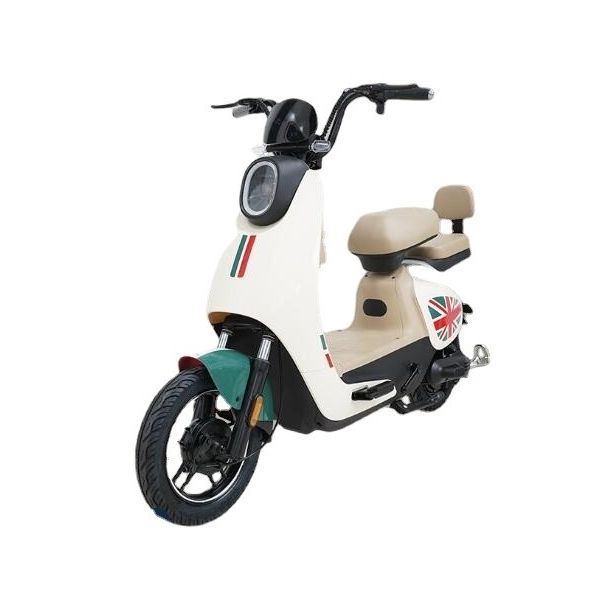 Quality Single Speed Roadbike Gravel Bike with Rear Hub Motor and Lithium Battery Bike Components for sale