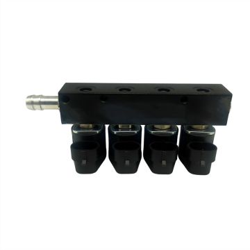 Quality 2 Ohm 3 Ohm Resistance Black LN-LIG1S LPG CNG Injector Rail For Autogas for sale