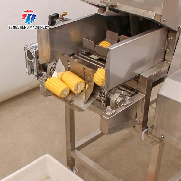 Quality 380V 150KG Luffa pumpkin asparagus cucumber lettuce bitter melon slicing machine for sale