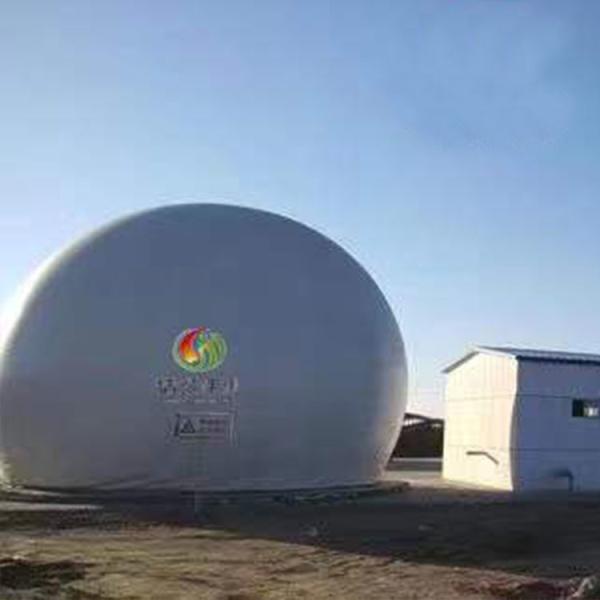 Quality CH4 CO2 Biogas Plant Project Q235B Biogas Cogeneration Plant for sale